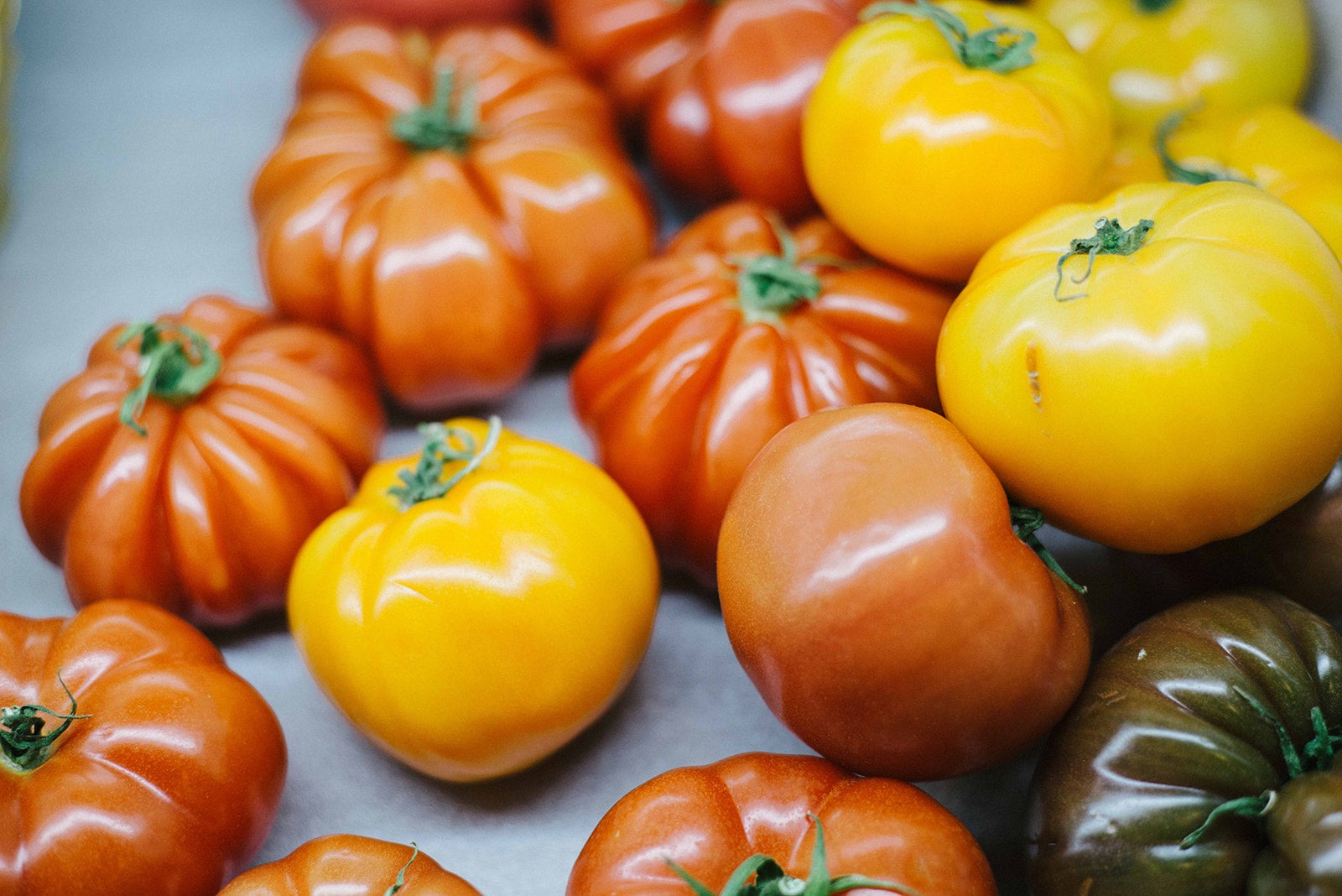 Place your Thanksgiving order